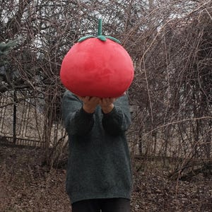 The Biggest Tomato Pillow in My Store, Velvet Veggie, Pretend Food, New ...
