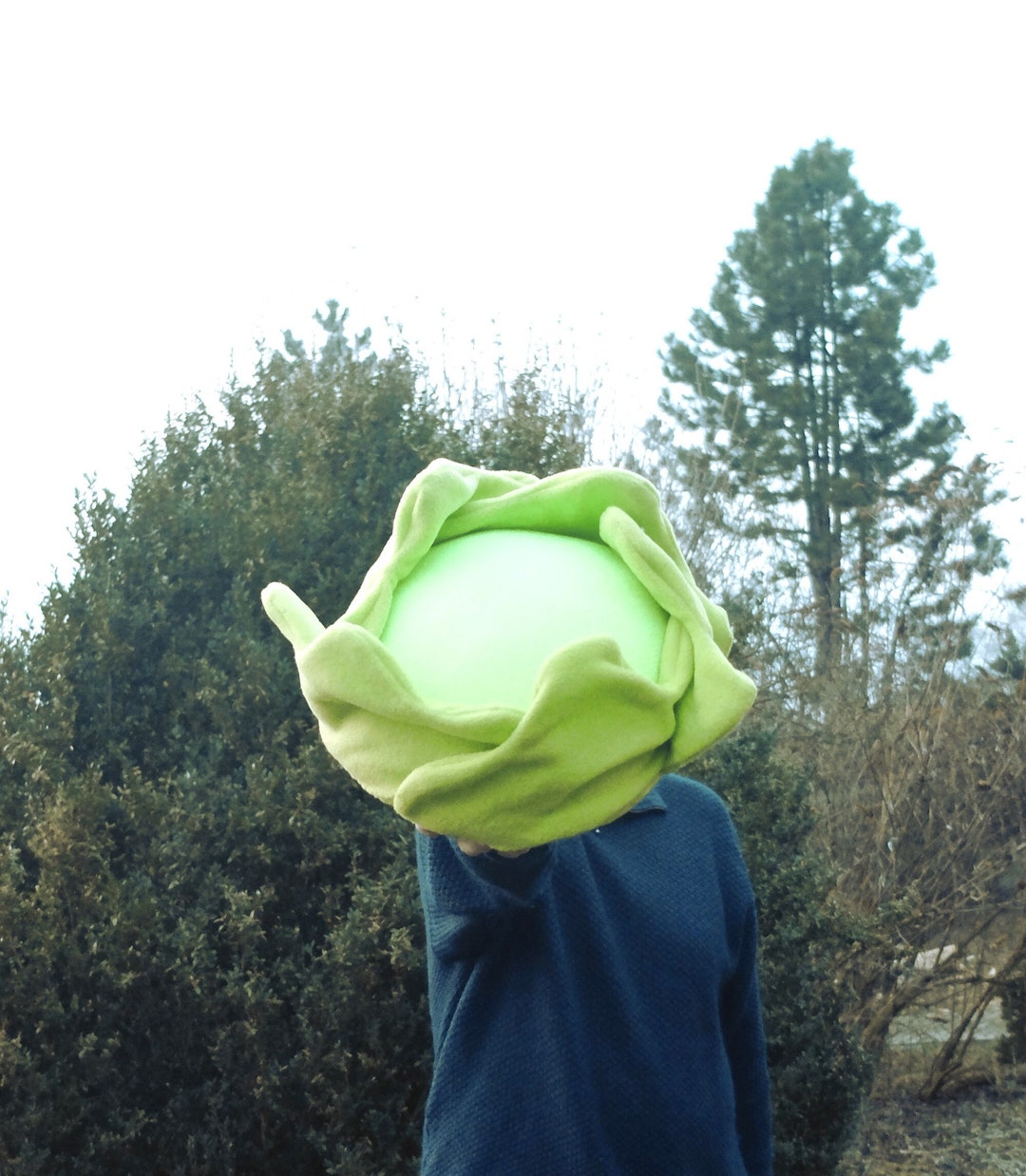 3D Fleece Lettuce, Lettuce Pillow, Stuffed Lettuce, Large Lettuce Head ...