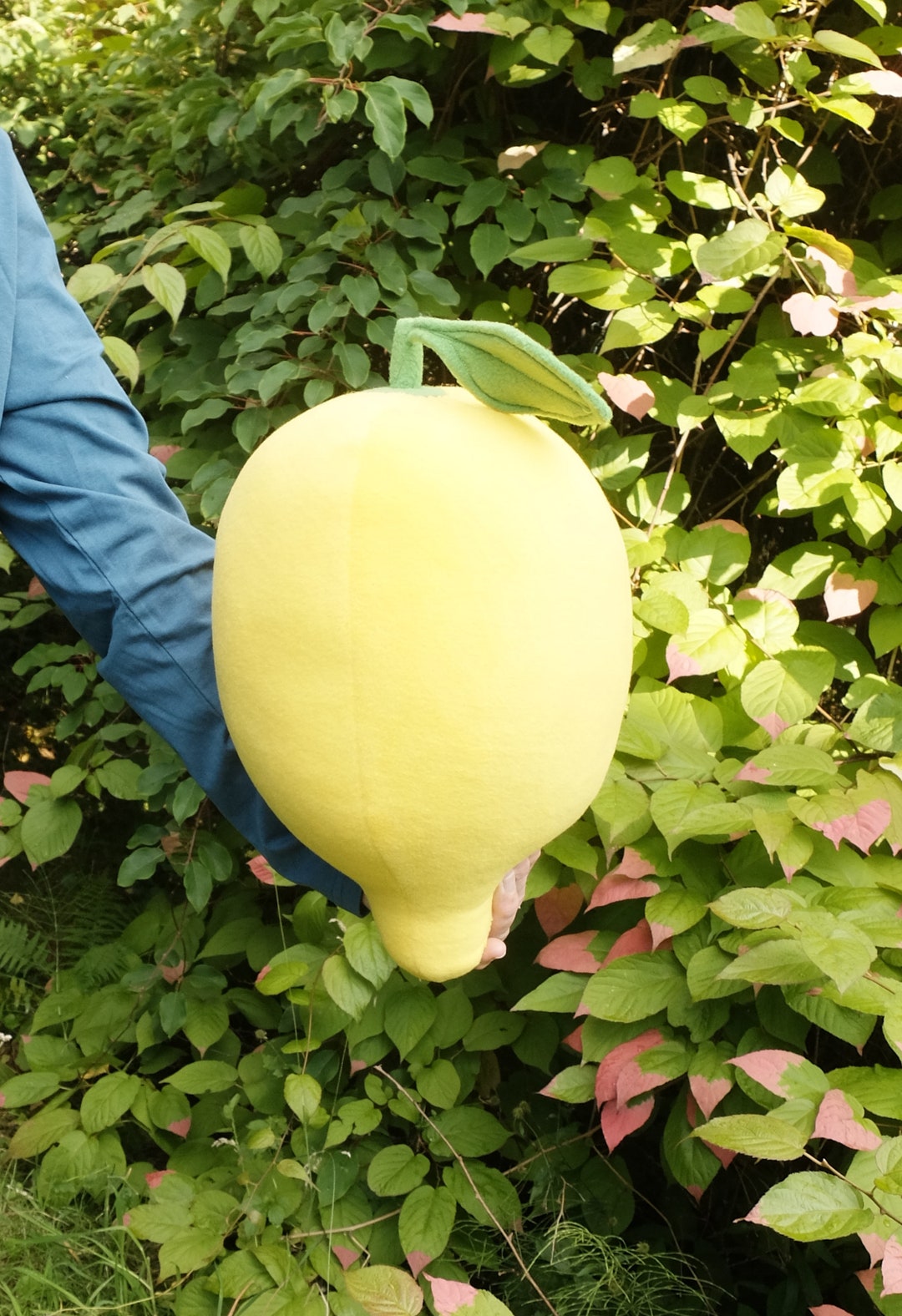 Giant Fleece Lemon, 3D Plush Fruit, Oversized Lime Pillow, Stuffed ...