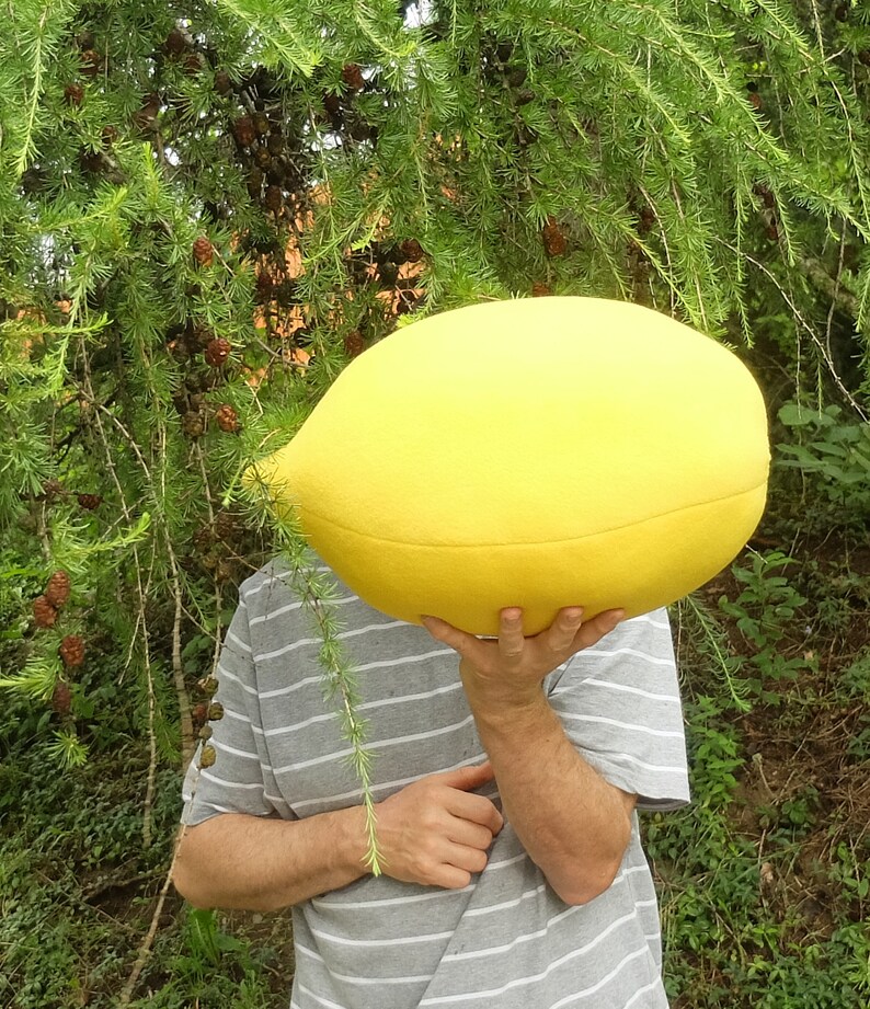Giant Fleece Lemon 3D Plush Fruit Oversized Lime Pillow | Etsy