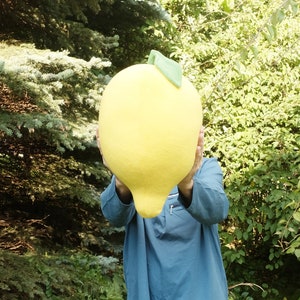 Giant Fleece Lemon, 3D Plush Fruit, Oversized Lime Pillow, Stuffed ...