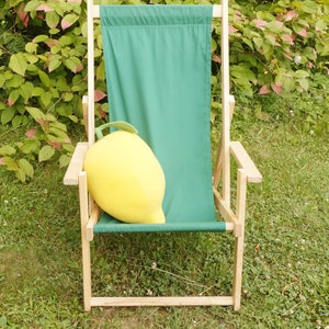 Giant Fleece Lemon, 3D Plush Fruit, Oversized Lime Pillow, Stuffed ...