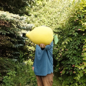 Giant Fleece Lemon, 3D Plush Fruit, Oversized Lime Pillow, Stuffed ...