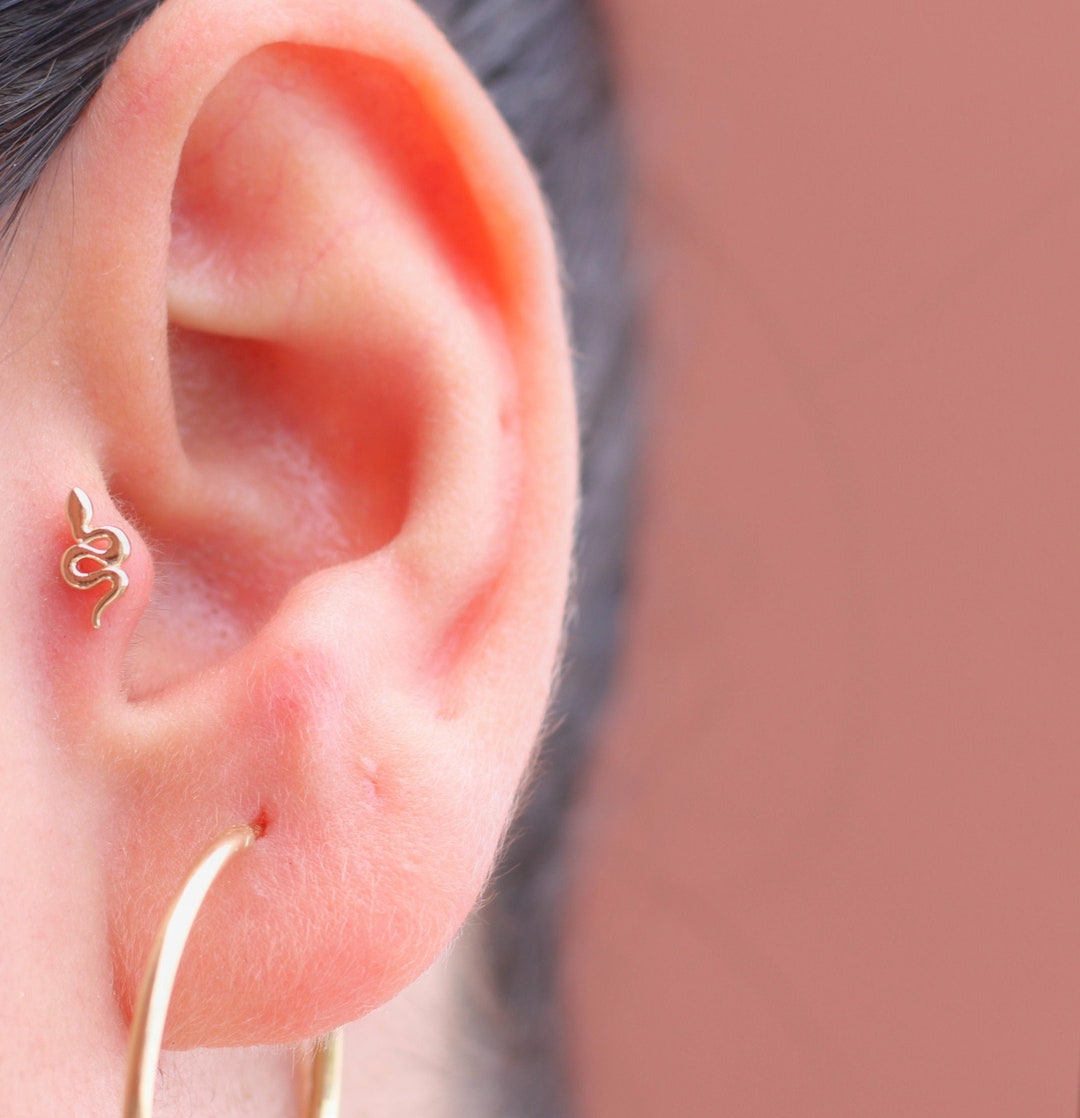 Dainty 14k Solid Gold Delicate Snake Figure Screwback Ear Piercing/stud ...