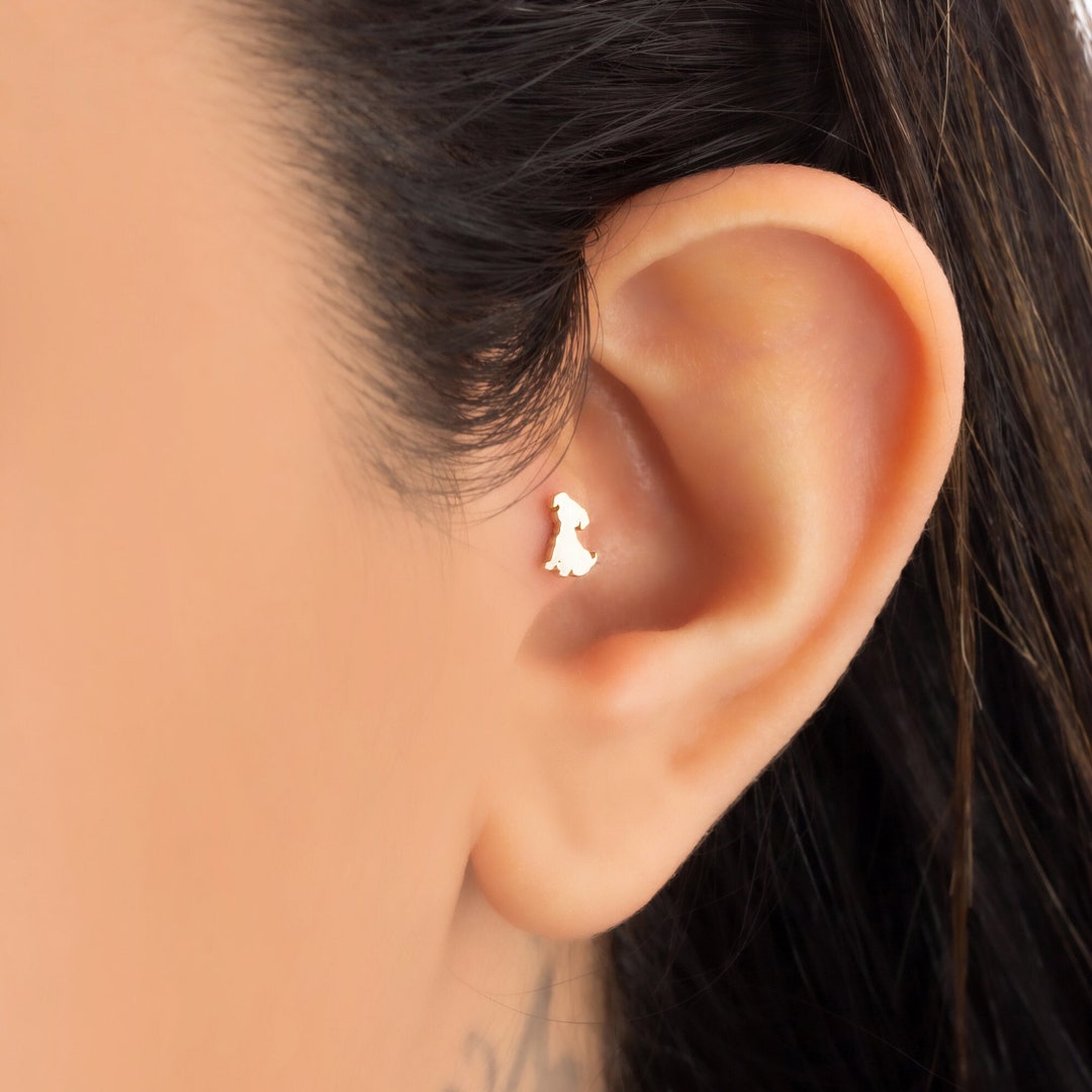 Dainty 14k Solid Gold Dog - Puppy Figure Screwback Ear Piercing/stud - Etsy