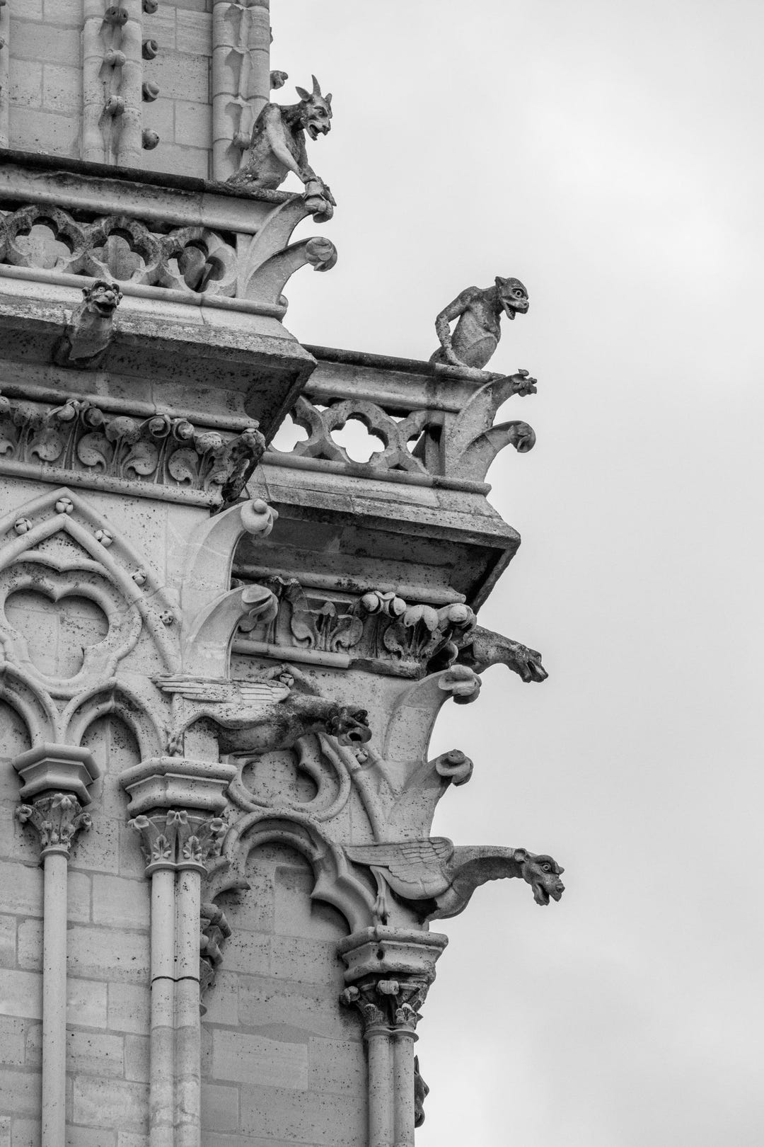 Notre-dame Cathedral Bell Towers Gargoyles 2: Paris Ile De La Cite ...