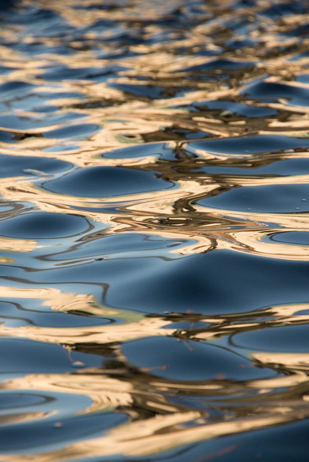 Pillow Reflections in Golden Sunlight Saint Louis Art Print With Mat, Signed | Coastal Abstract ...