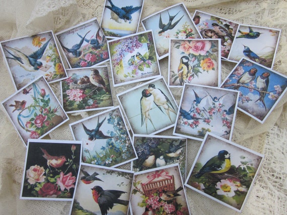 BIRDS Adhesive Stickers Labels Beautiful Images From Vintage | Etsy
