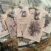 LOVELY Gift Tags French Country Glitter ~ FRENCH Market 8 - Etsy