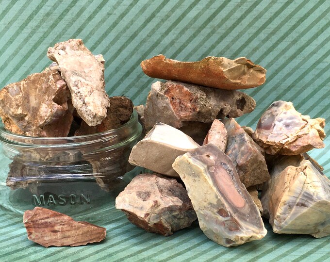 Rocks Gems and Minerals — Ozark Mozarkite—missouri State Rock—fossils ...