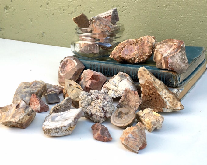 Rocks Gems and Minerals — Mozarkite/missouri State Rock — Fossils/chert ...