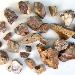 Rocks Gems and Minerals Mozarkite/missouri State Rock - Etsy