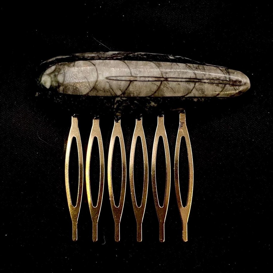 Orthoceras Fossil, Black White Fossil, Gold Hair Comb, Black Hair Comb ...