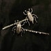 Insect Hair Pins, Insect Jewelry, Cockroach Hair Pins, Fly Hair Pins ...