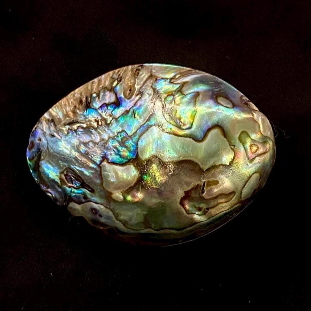 Abalone Shell, Rainbow Abalone, Abalone Hair Clip, Hair Accessories ...