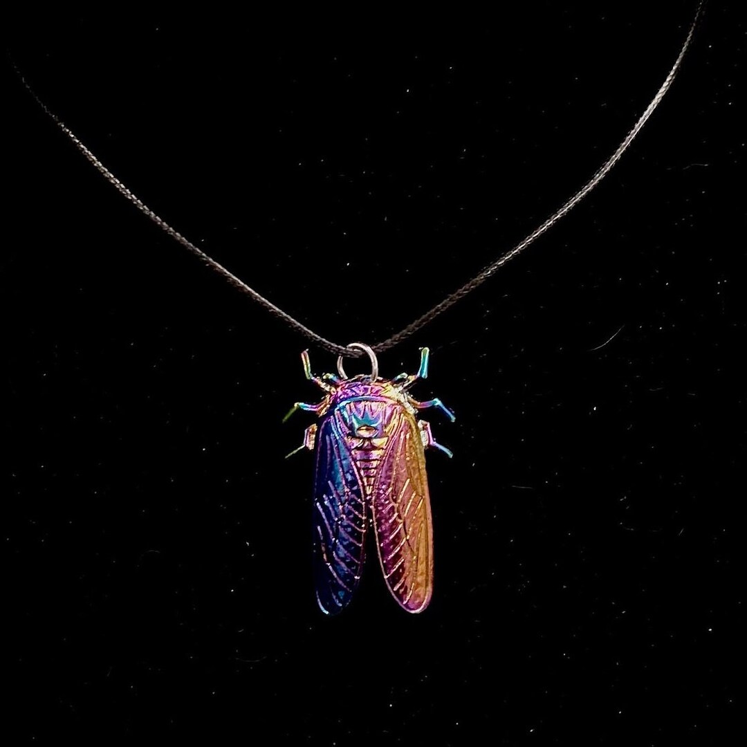 Rainbow Cicada, Titanium Cicada, Cicada Necklace, Cicada Pendant ...