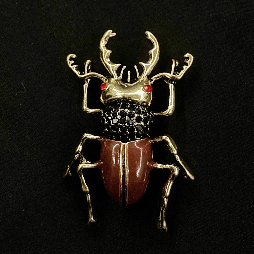Brown Beetle, Beetle Brooch, Insect Brooch, Stag Beetle, Pinching ...