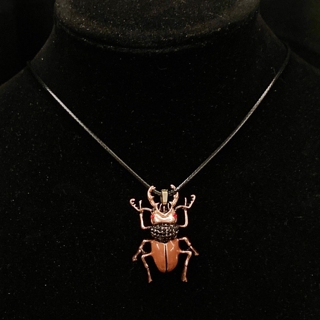 Brown Beetle, Beetle Necklace, Insect Necklace, Stag Beetle, Pinching ...
