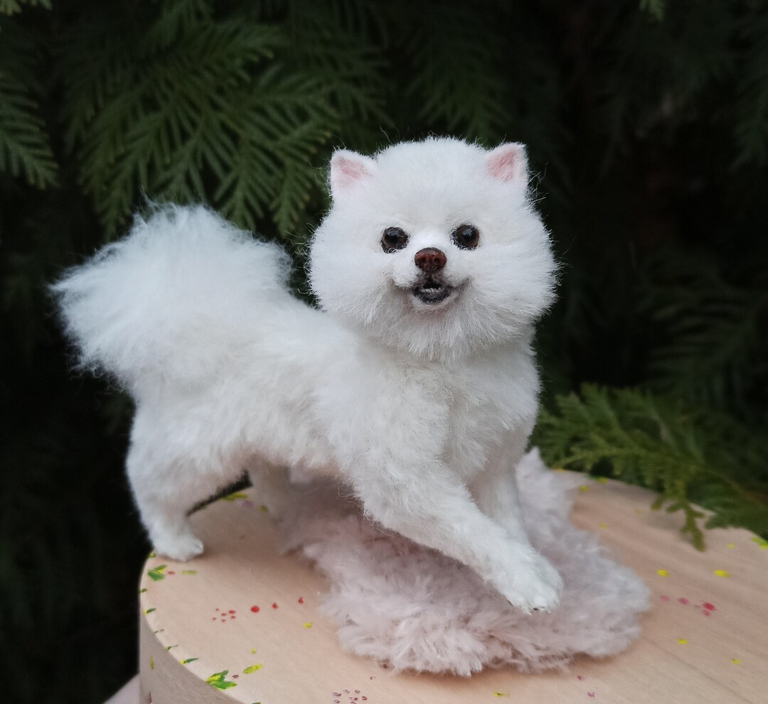 White Spitz/pompom/boo Spitz/ Miniature Spitz/dollhouse Miniature Dog ...
