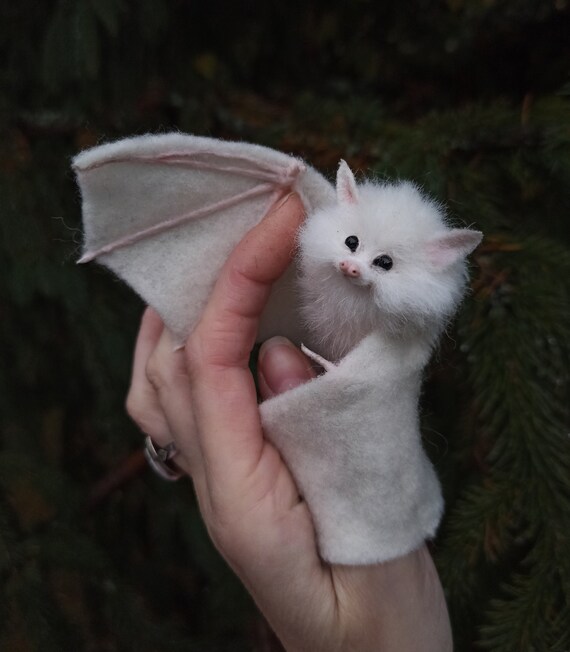 Baby Bat