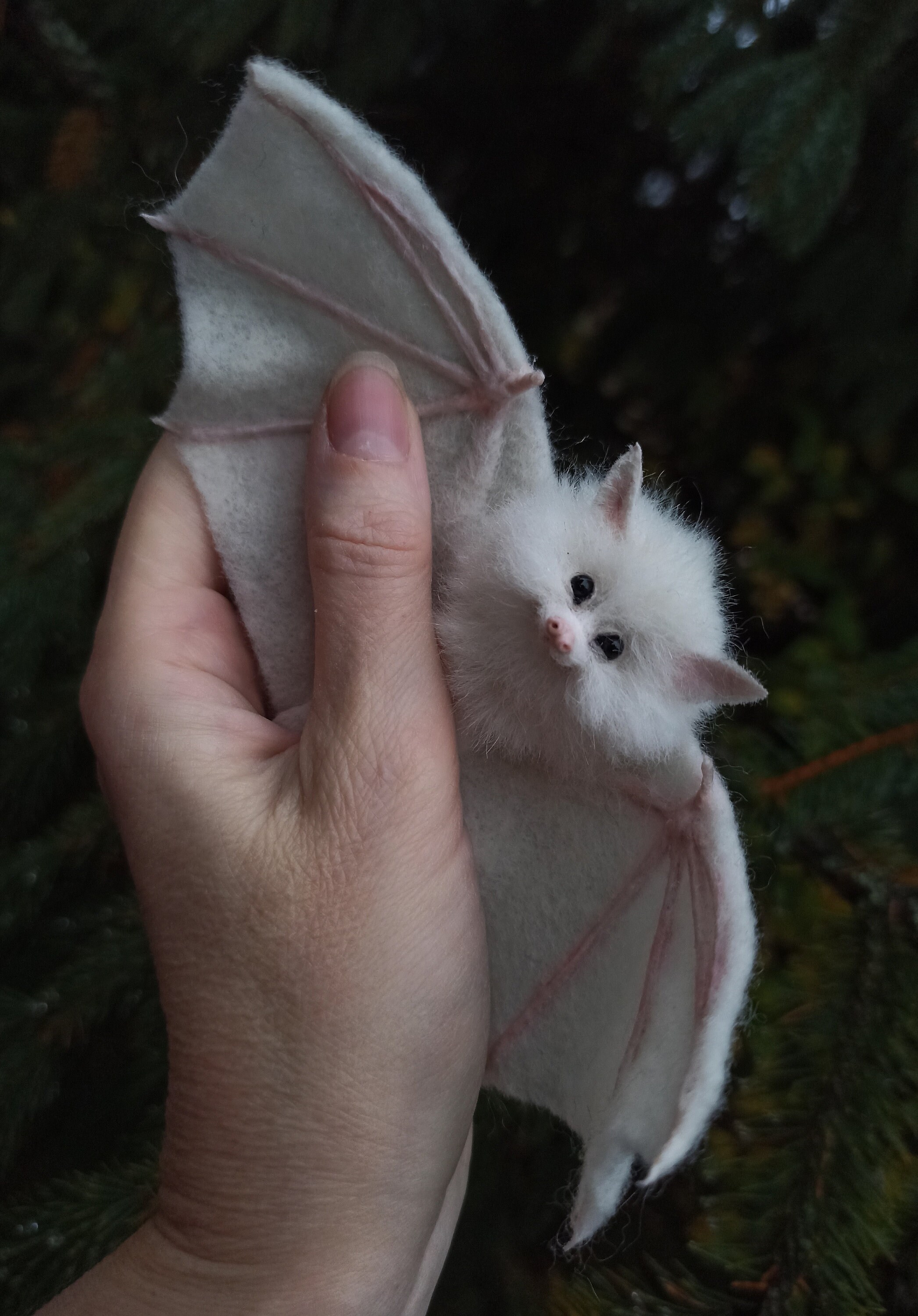 White Baby Bats