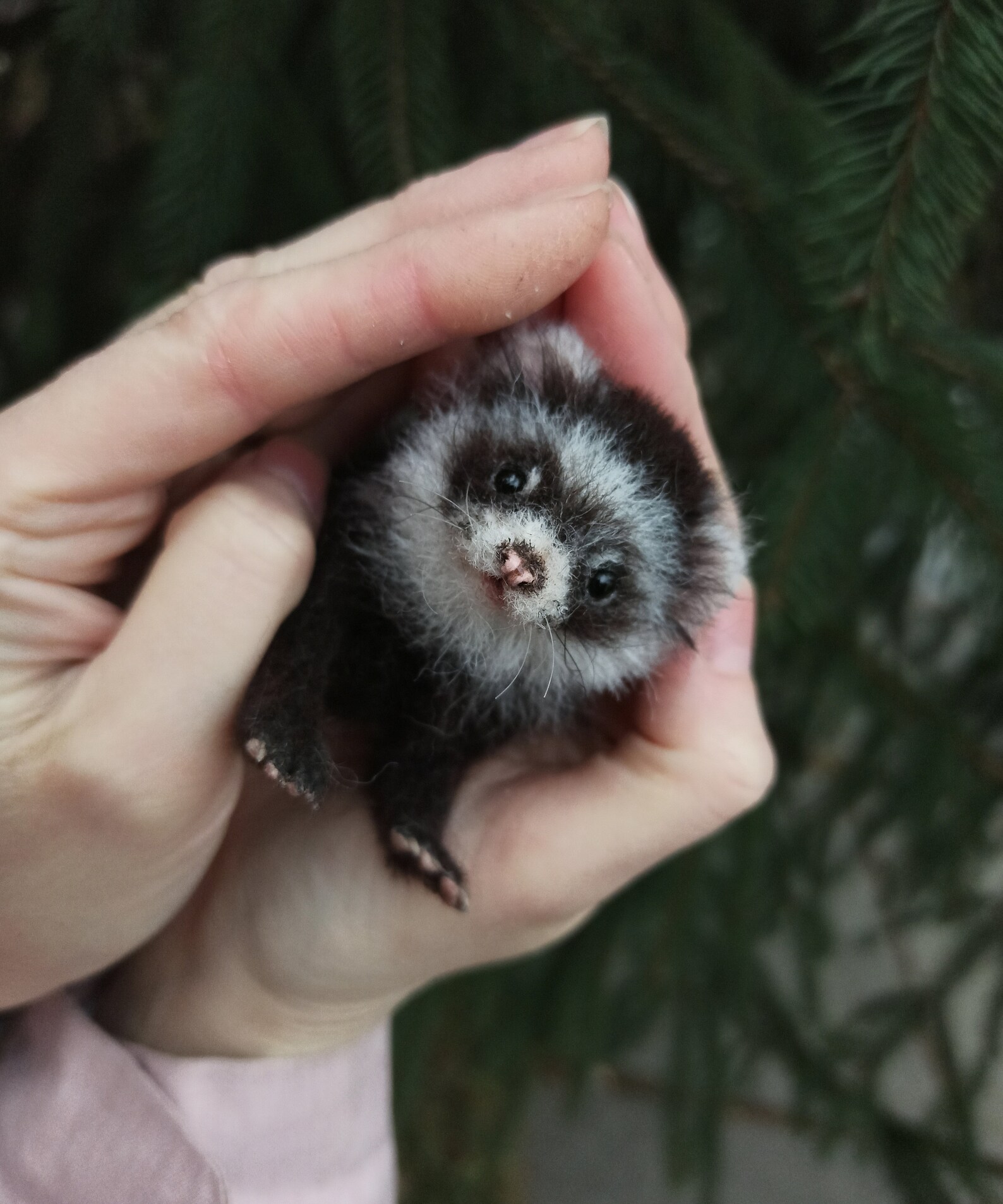 Ferret/ferret Miniature/pet | Etsy