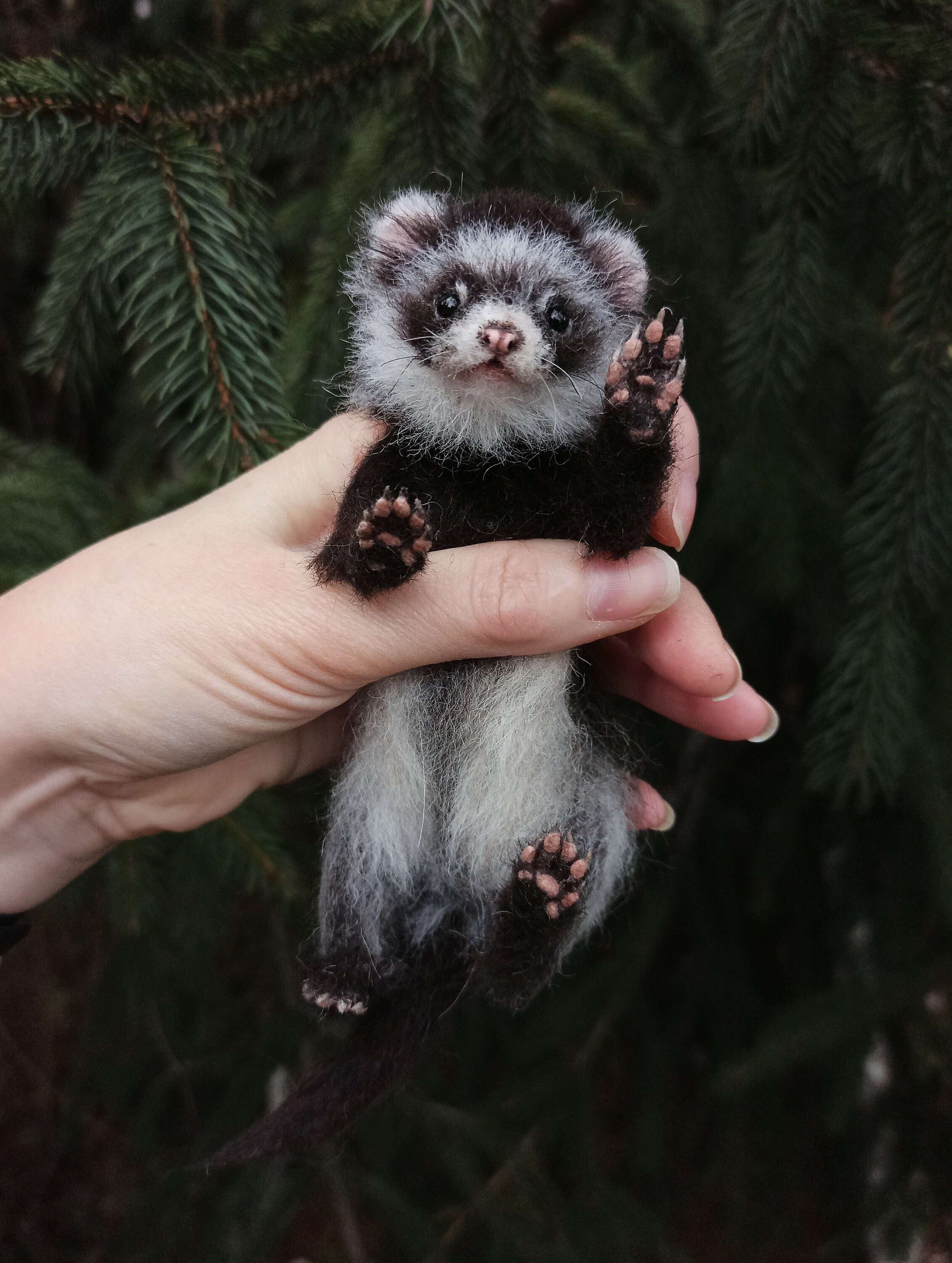 Ferret/Ferret miniature/Pet | Etsy