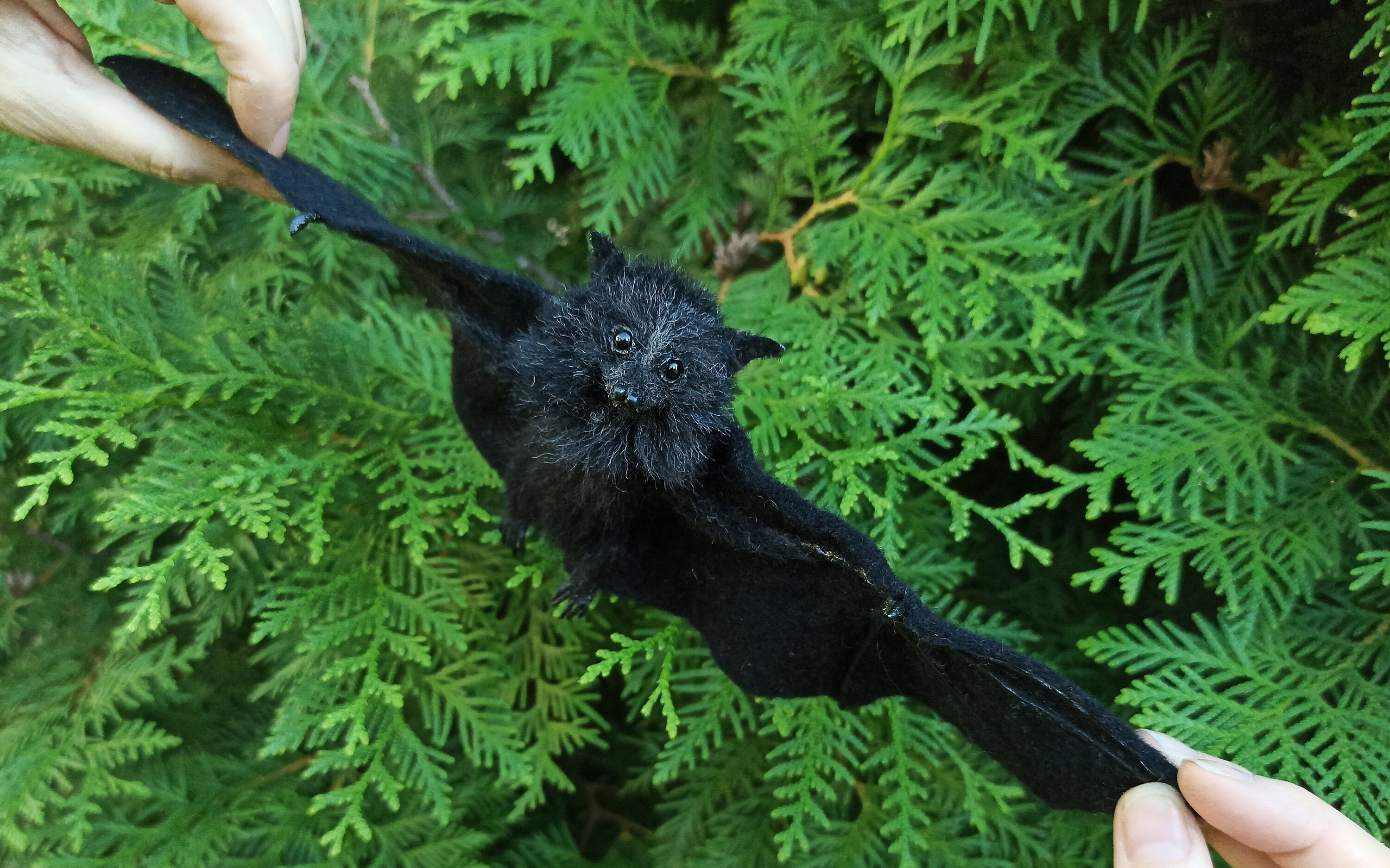Little Bat miniature/Halloween/Flying Fox/Black bat/Pet | Etsy
