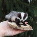 Badger Miniature/badger/custom Order/pet - Etsy