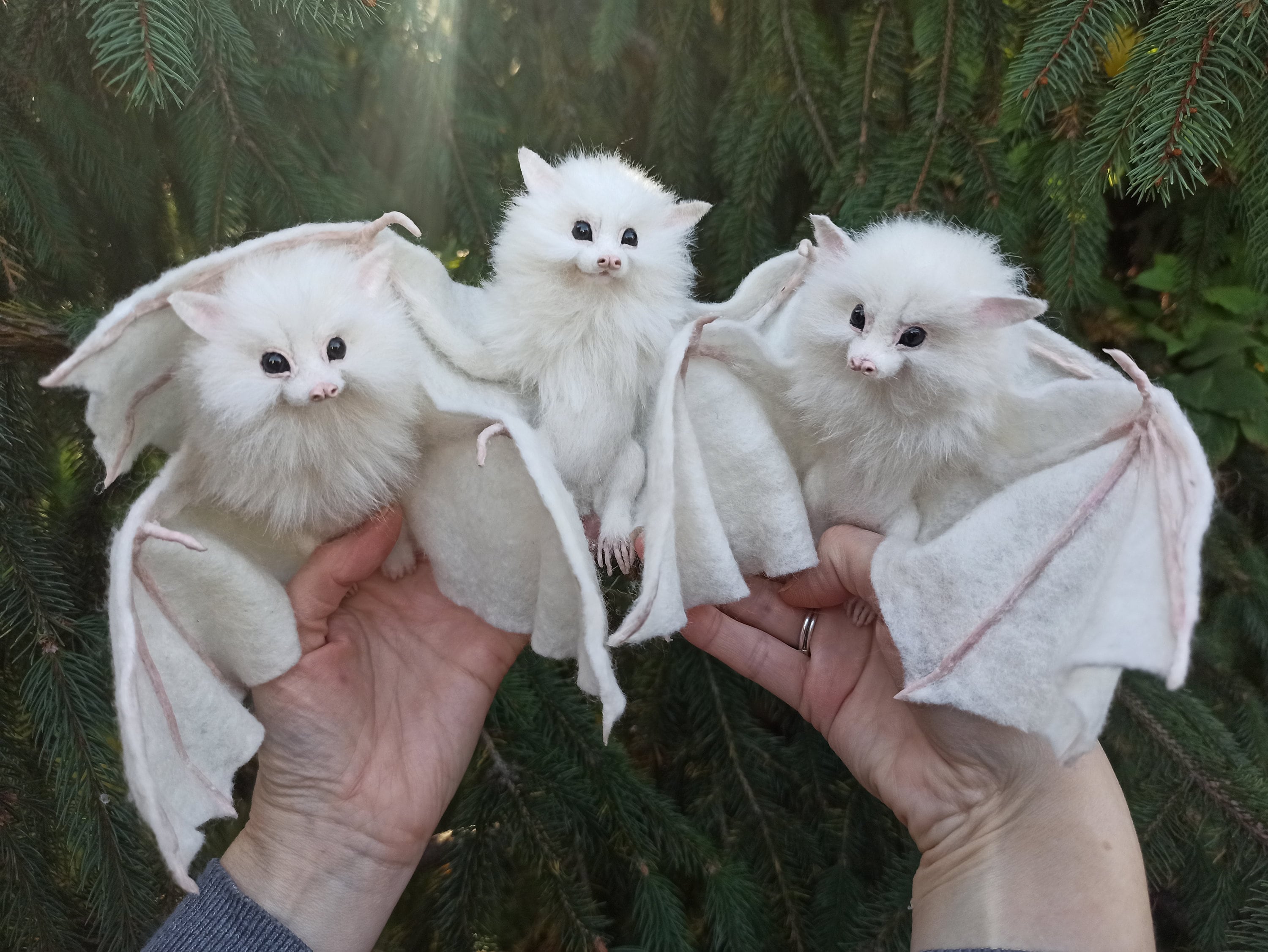 White Vampire Bat