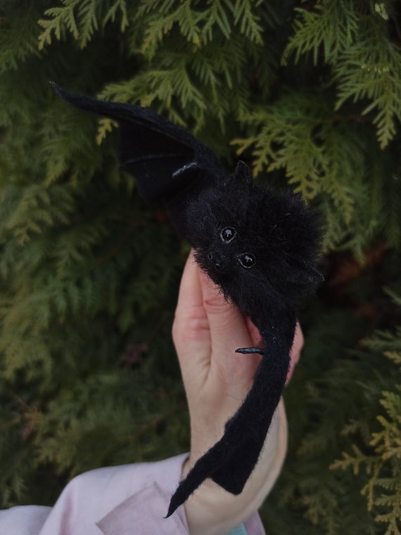 Cute Baby Black Bat
