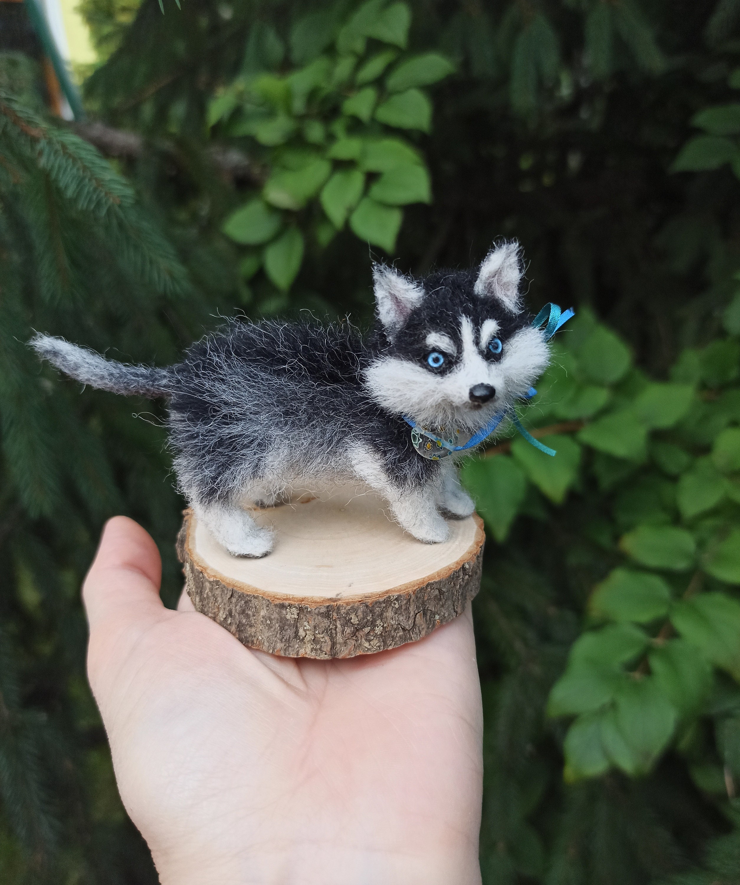 Siberian Husky Miniature