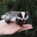 Badger Miniature/badger/custom Order/pet - Etsy