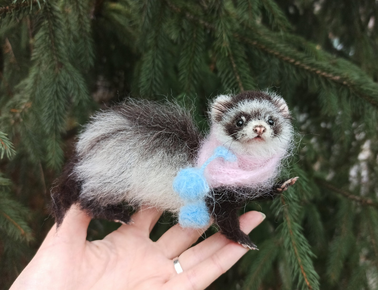 Ferret/ferret Miniature/pet - Etsy