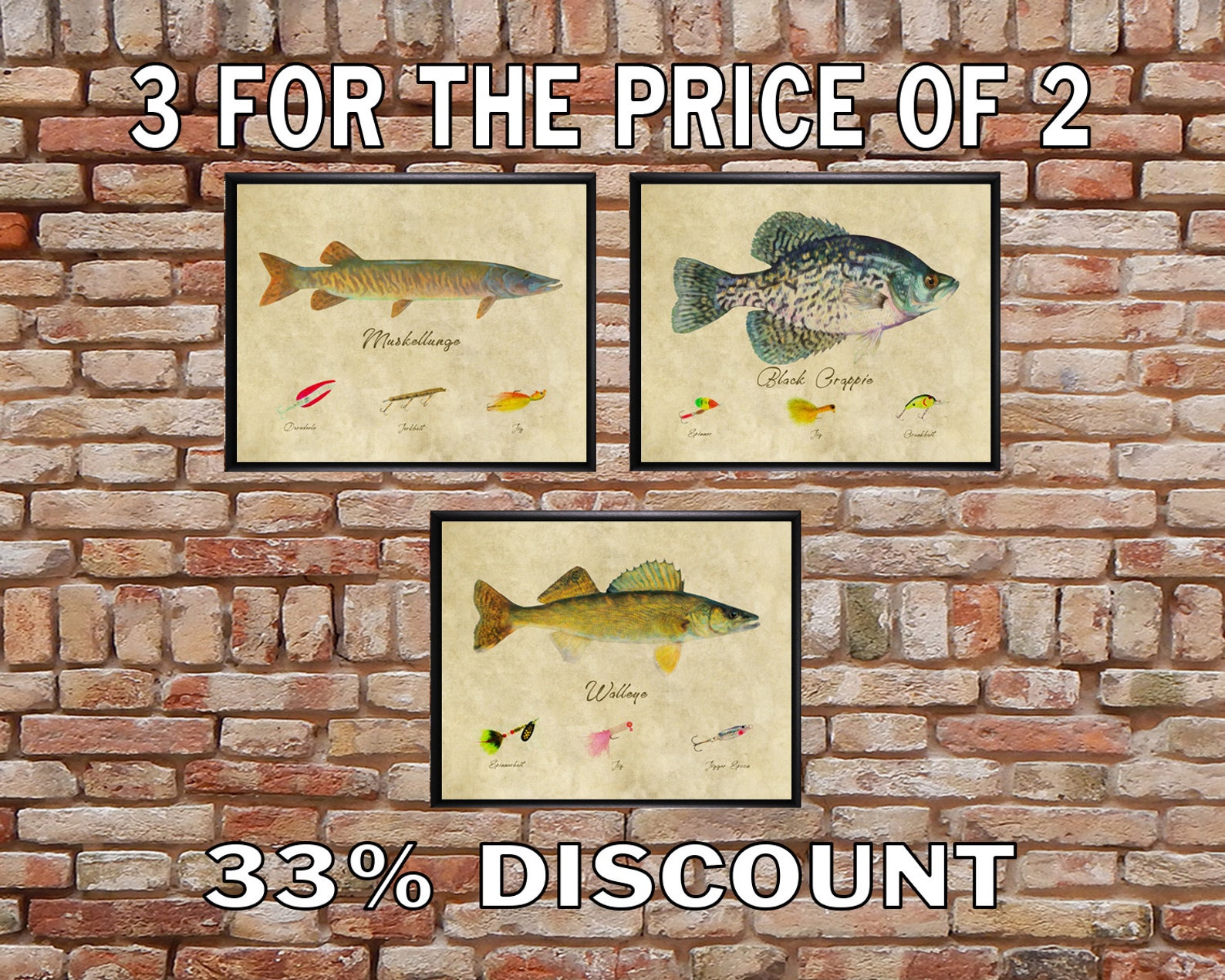 Fish Print Set of 3 Muskie Print Muskellunge Walleye Print - Etsy