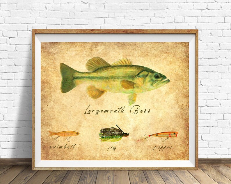Largemouth Bass Art Fishing Poster Bass Fish Print Gifts | Etsy