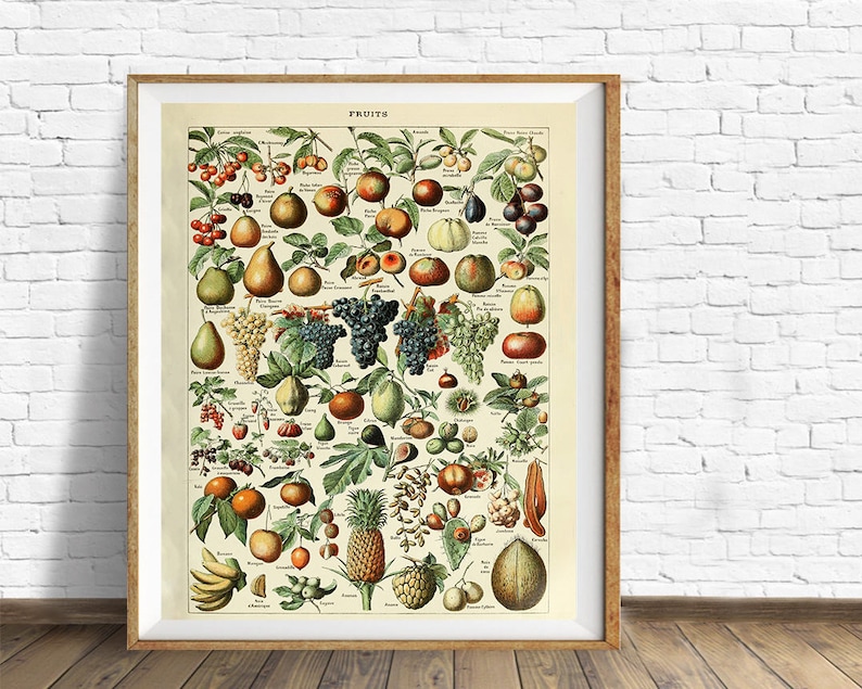 Vintage Fruit Poster French Fruit Decor French Botanical | Etsy