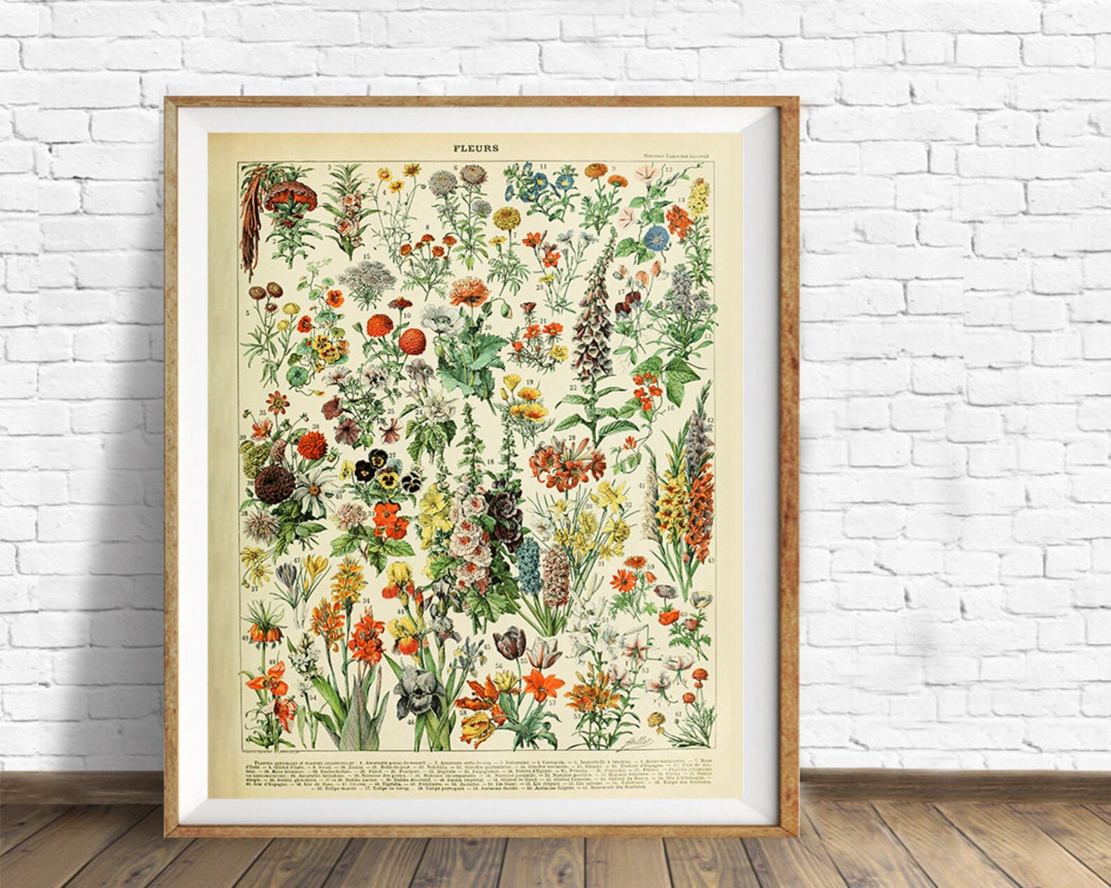 Vintage Flower Poster Plant Print French Flower Decor | Etsy