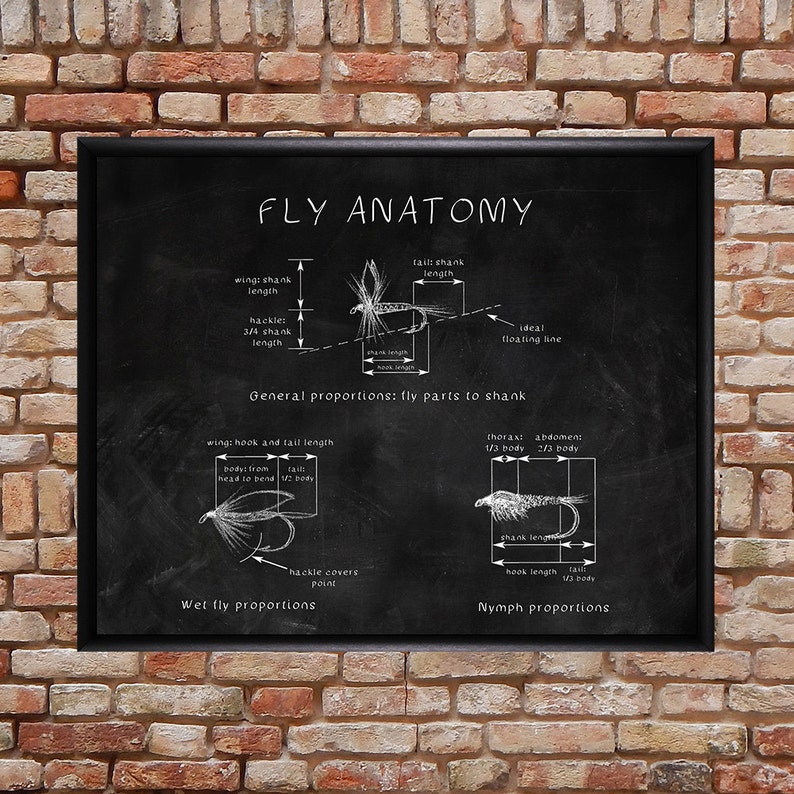 Fly Fishing Poster - Fly Tying Diagram - Fly Fishing Print - Chart ...
