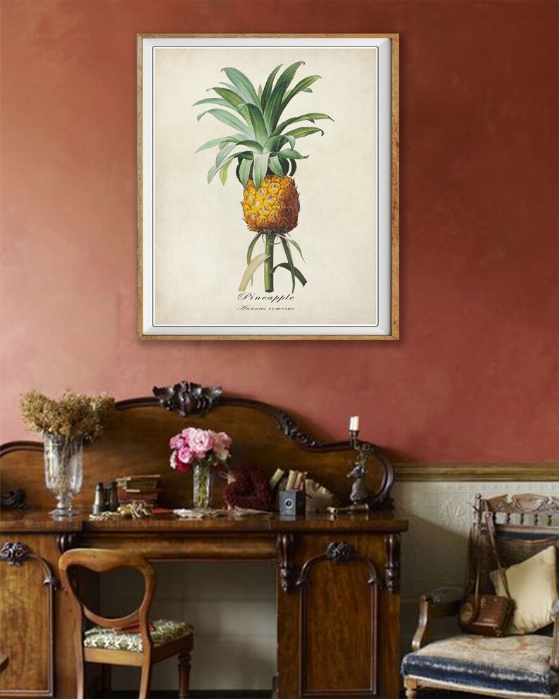 Vintage Pineapple Print, Vintage Botanical Print, Succulent Print ...