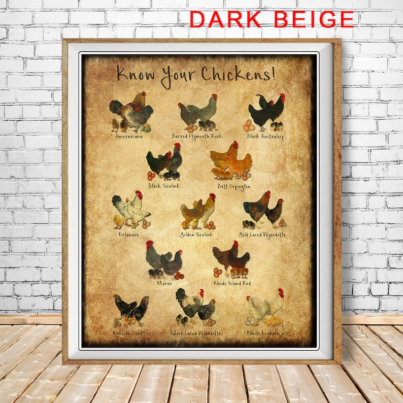 Chicken Breeds Chart Print Vintage Poultry Print Chicken - Etsy Australia