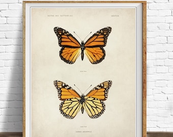 Monarch Butterfly Poster Vintage Butterfly Print Insect | Etsy
