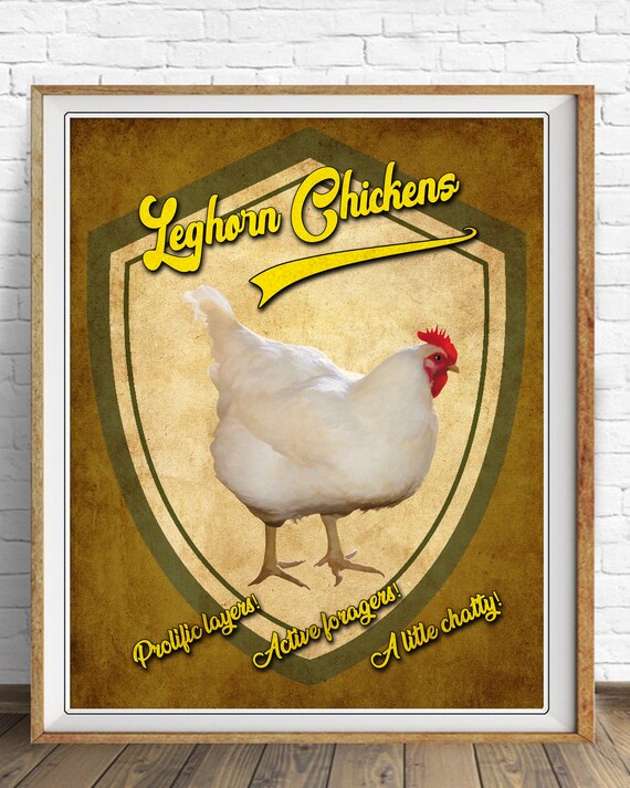 Vintage Chicken Poster Leghorn Chicken Print Backyard | Etsy
