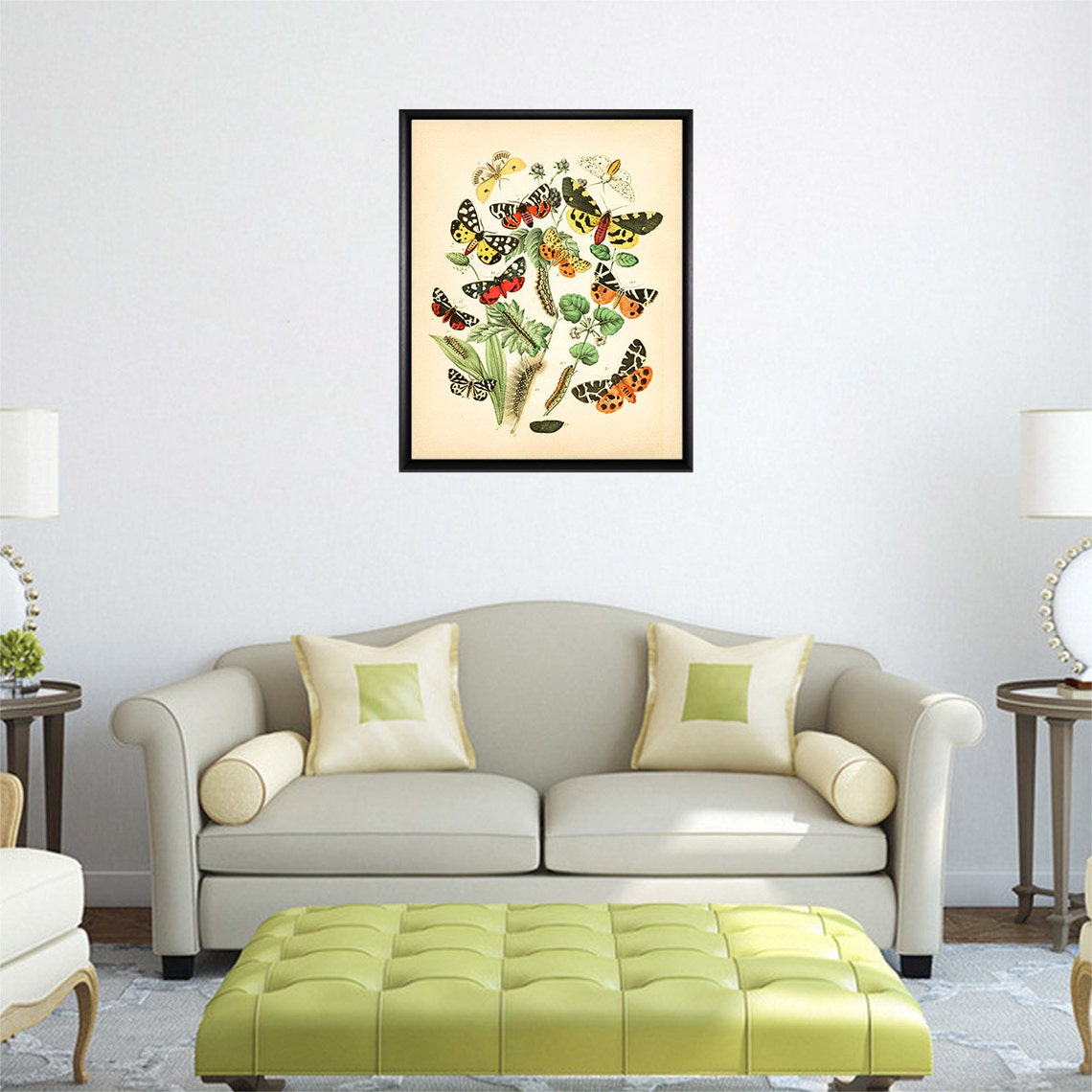 Butterfly Poster Butterflies Print Insect Art Botanical - Etsy