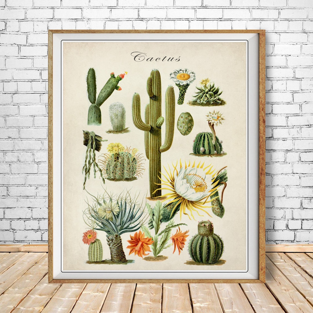 Vintage Cactus Poster, Cactus Print, Vintage Botanical Print, Succulent ...