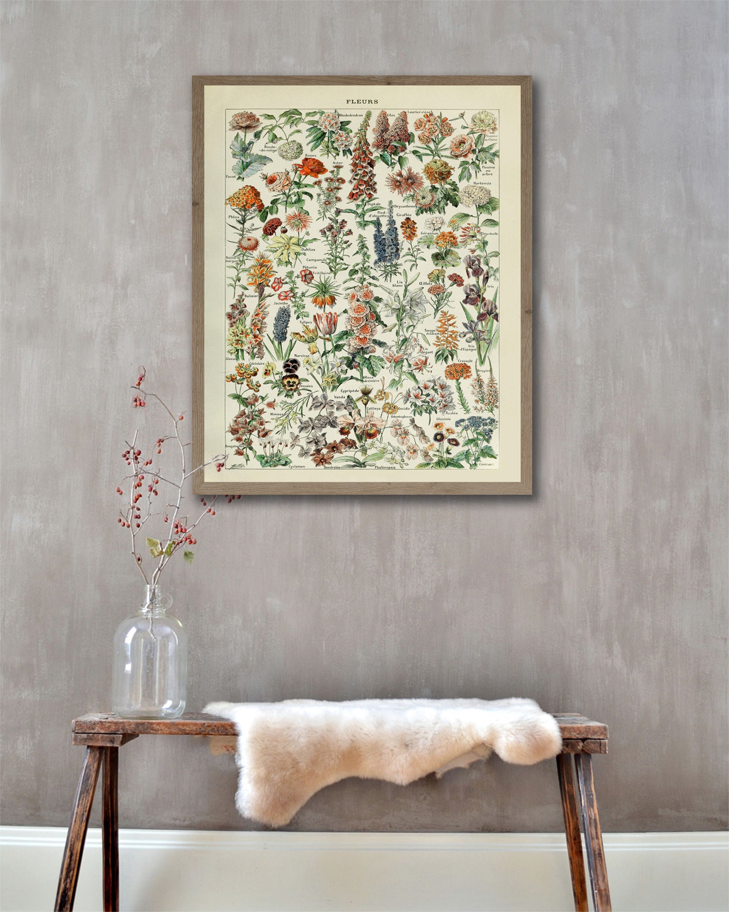 Vintage Flower Poster, French Flower Decor, French Botanical Print ...