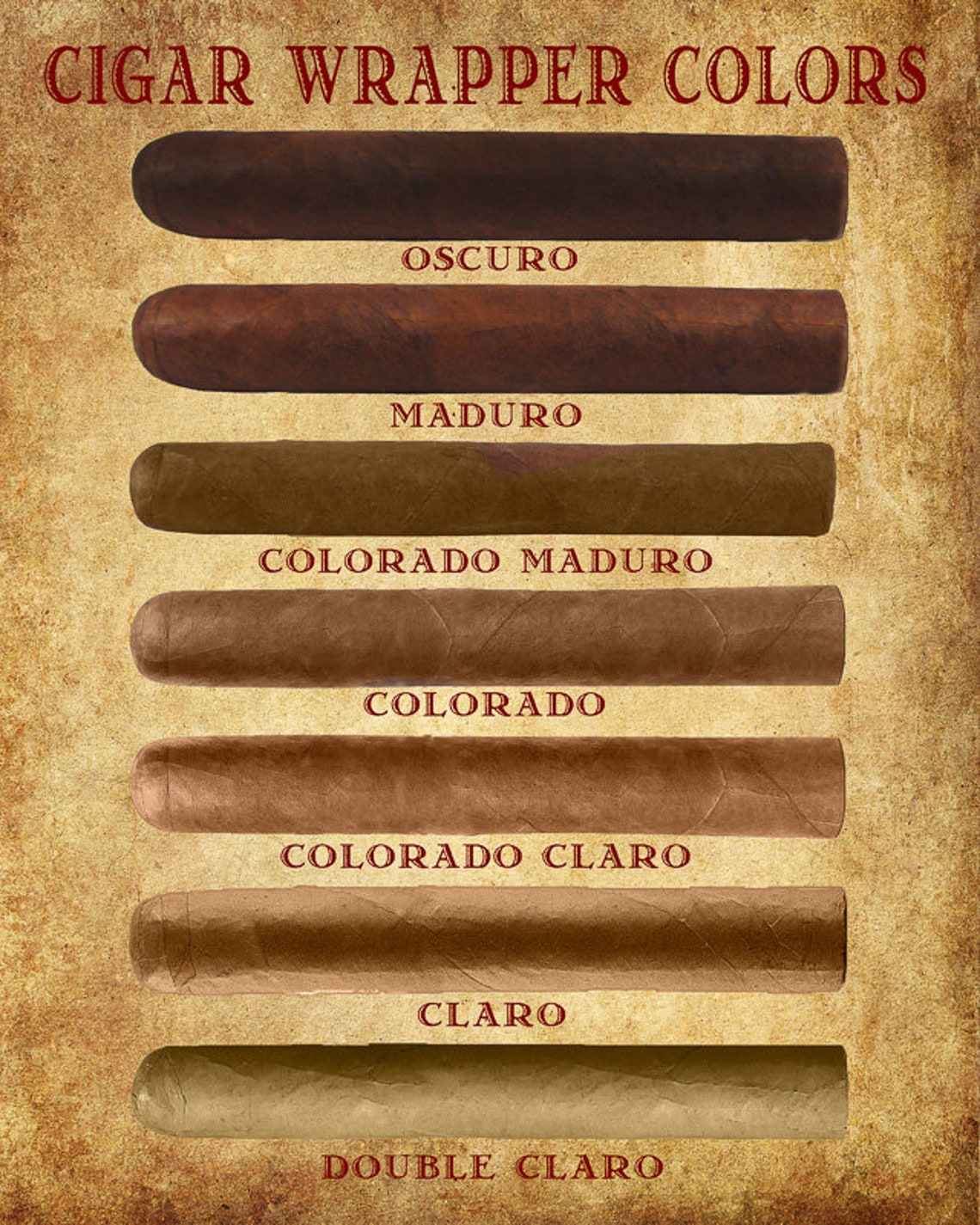 Cigar Art, Cigar Size Chart - Discounted Set of 4 - Cigar Poster ...