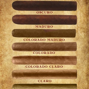 Cigar Art, Cigar Size Chart - Discounted Set of 4 - Cigar Poster ...
