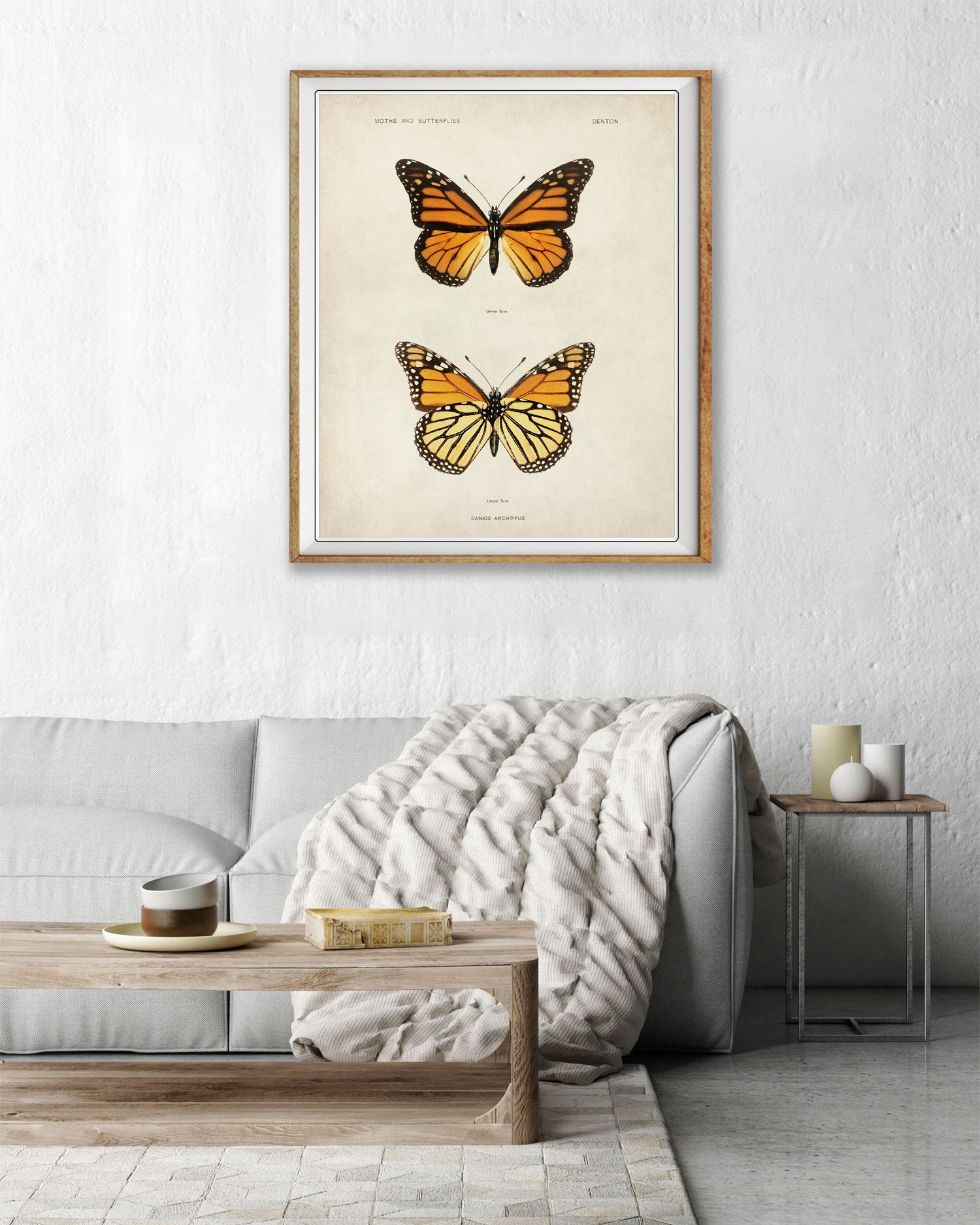 Vintage Butterfly Print, Monarch Butterfly Poster Insect Illustration ...