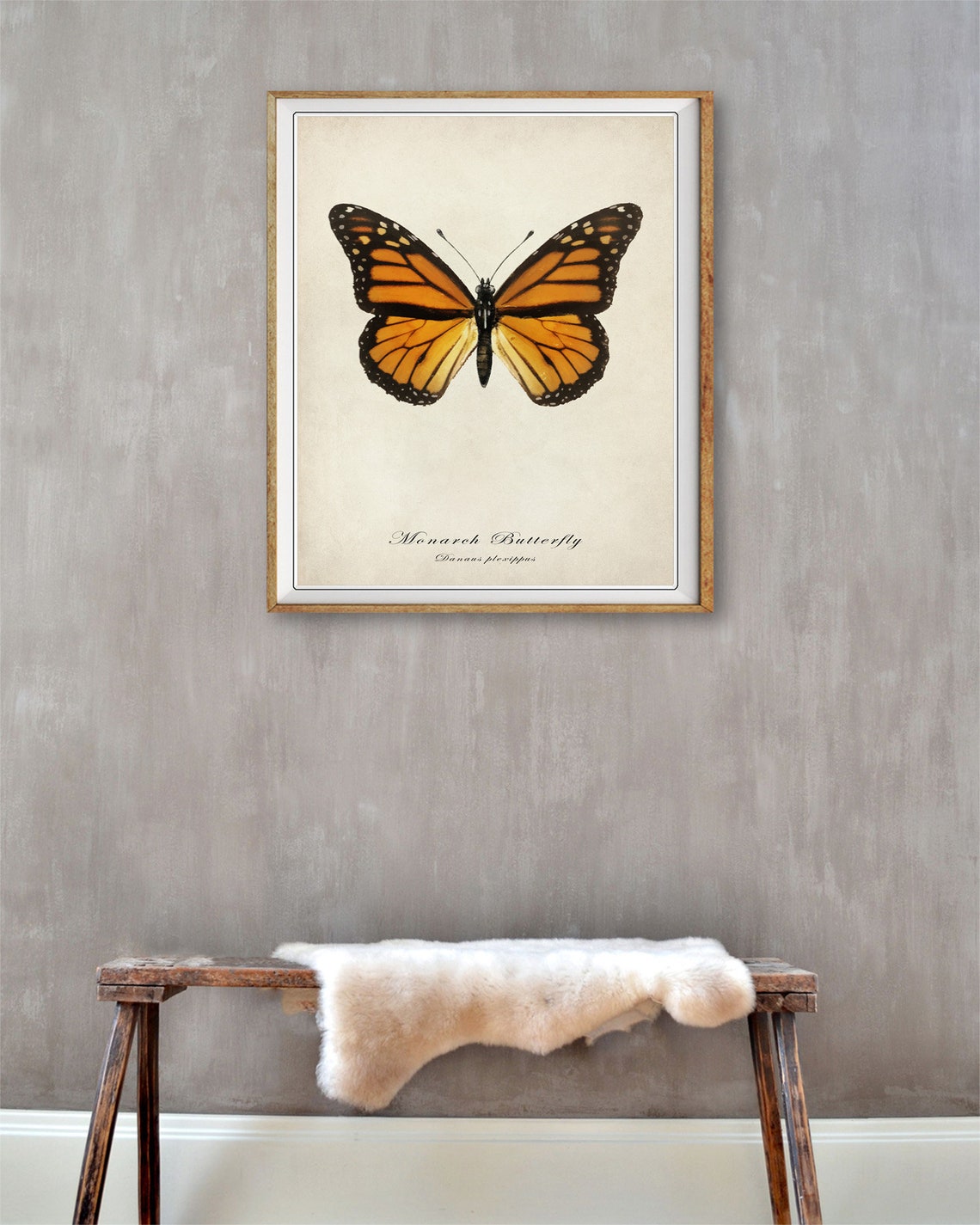 Monarch Butterfly Poster Vintage Butterfly Print Insect - Etsy